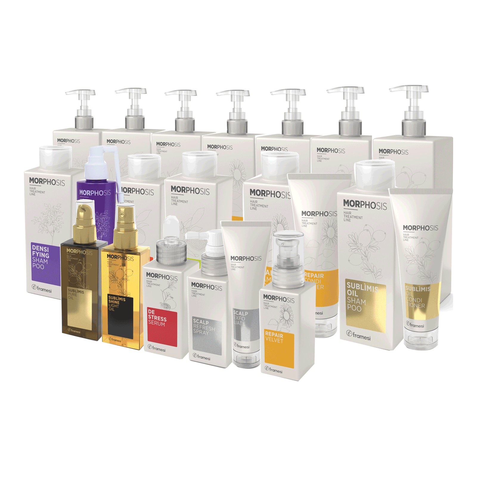 Morphosis Intro - Framesi | CosmoProf