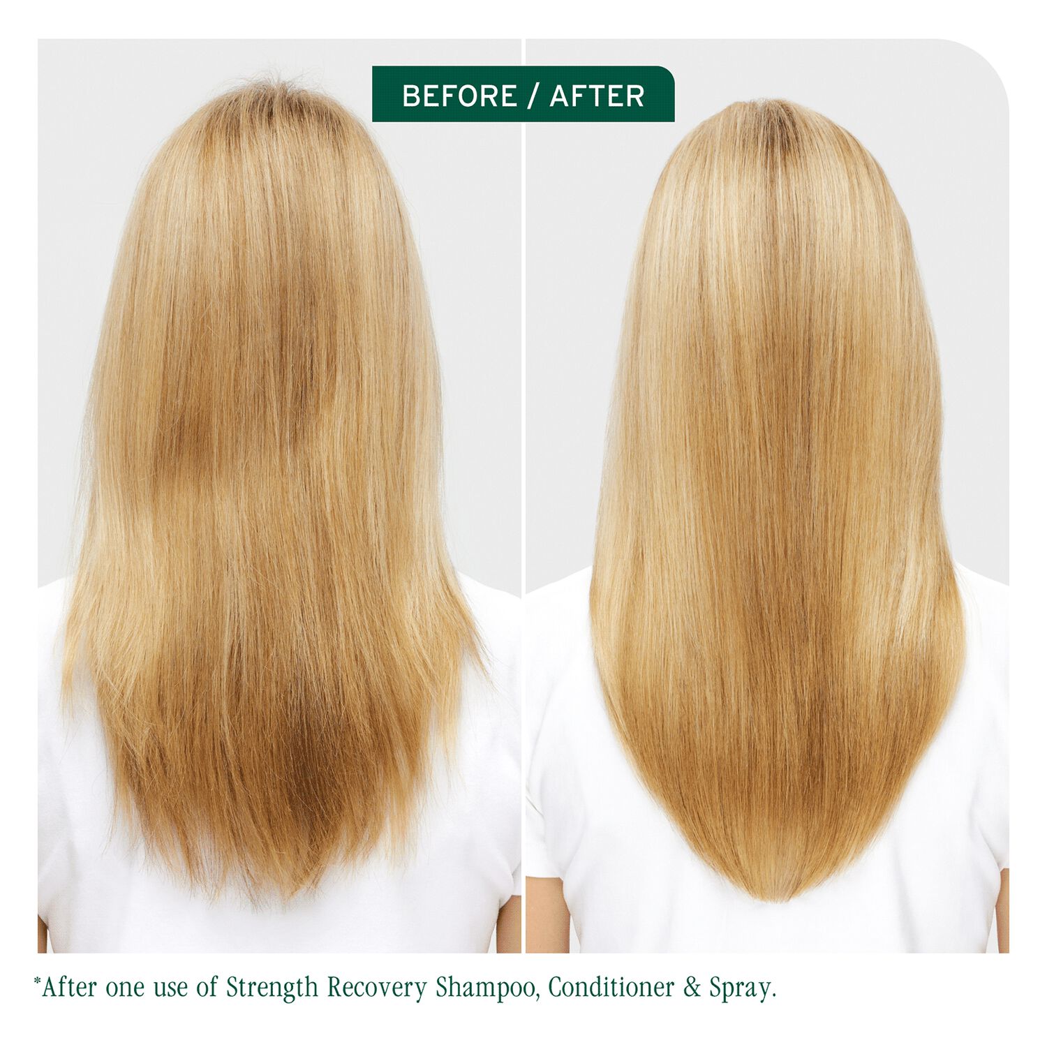 Strength Recovery Shampoo for Damaged Hair - Biolage | CosmoProf