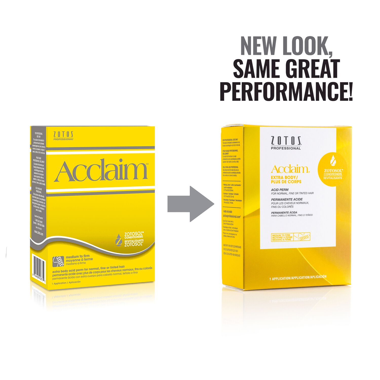 Acclaim Extra Body Acid Perm for Normal, Fine or Tinted Hair - Zotos ...