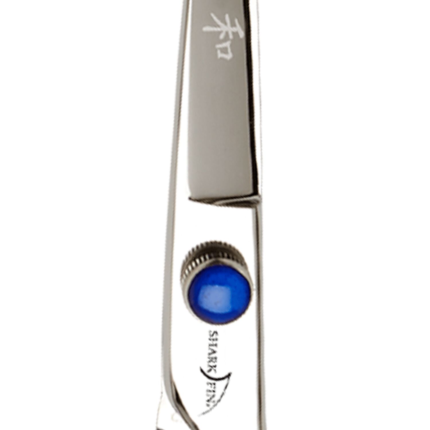 Right Professional Plus Non-Swivel 5.5 Inch Stainless Cutting Shear ...