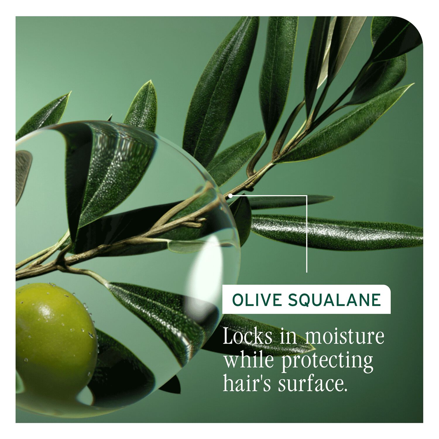 Strength Recovery Shampoo for Damaged Hair - Biolage | CosmoProf