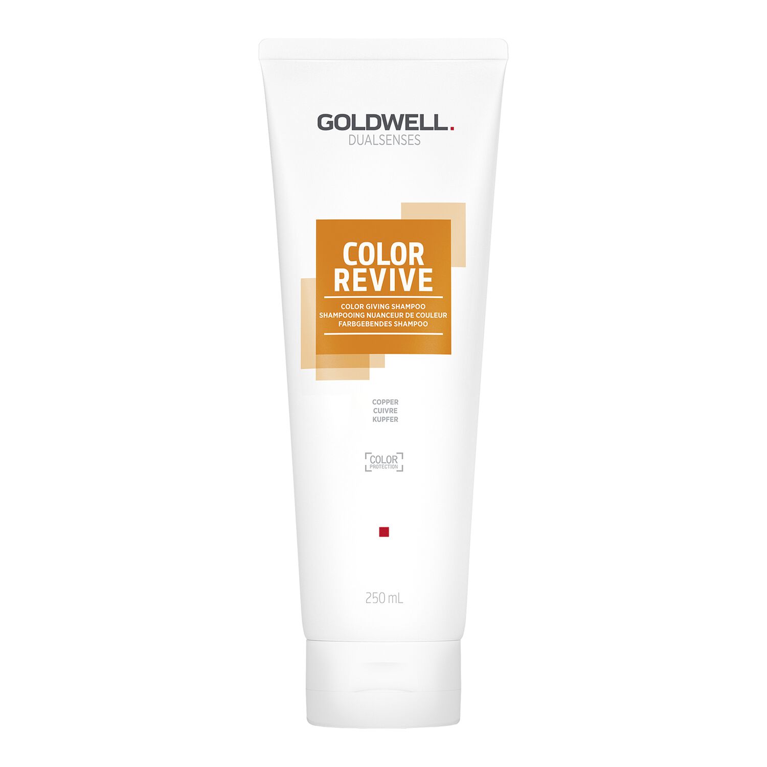 Copper Dualsenses Color Revive Color Giving Shampoo - Goldwell USA ...