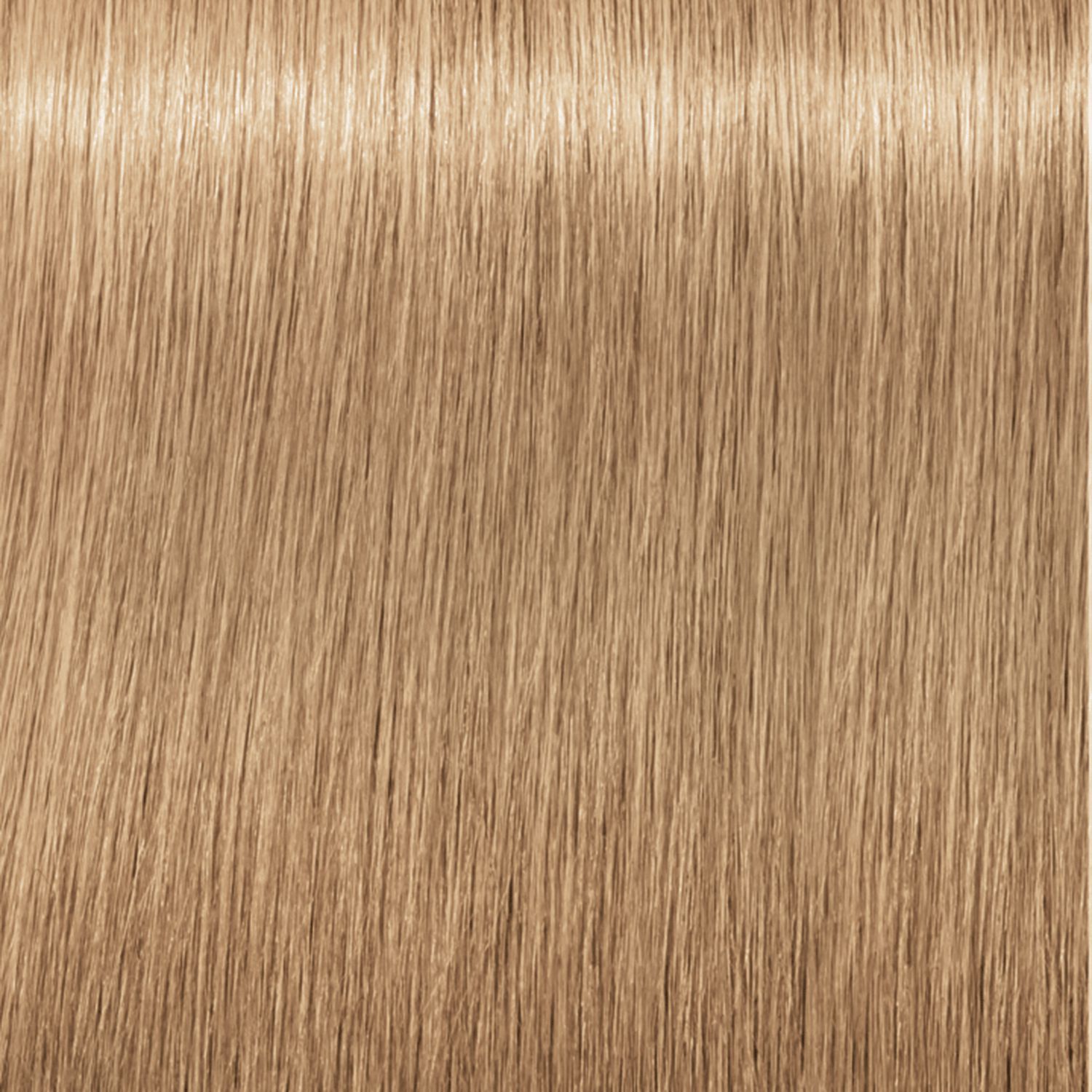 Biscuit BlondMe Bond Enforcing Blonde Lifting Creme - Schwarzkopf ...