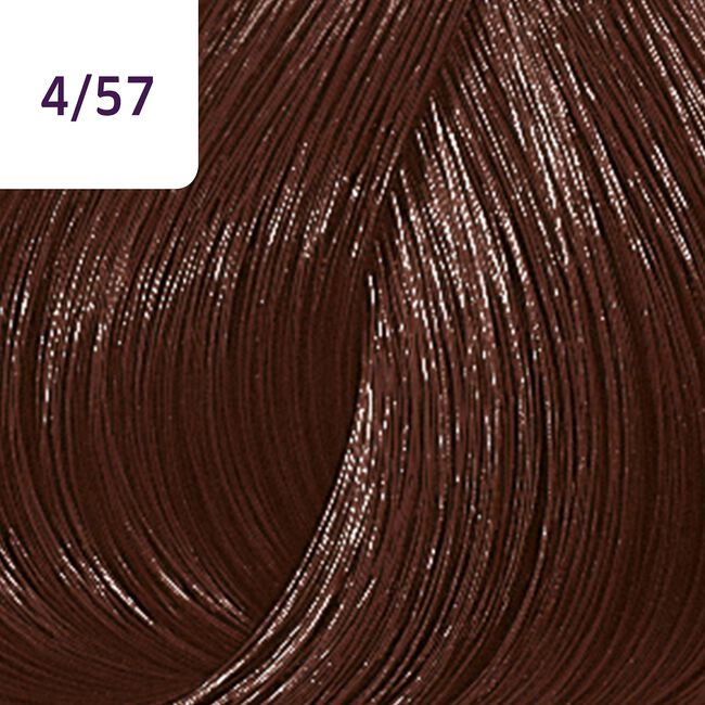 dark red violet brown