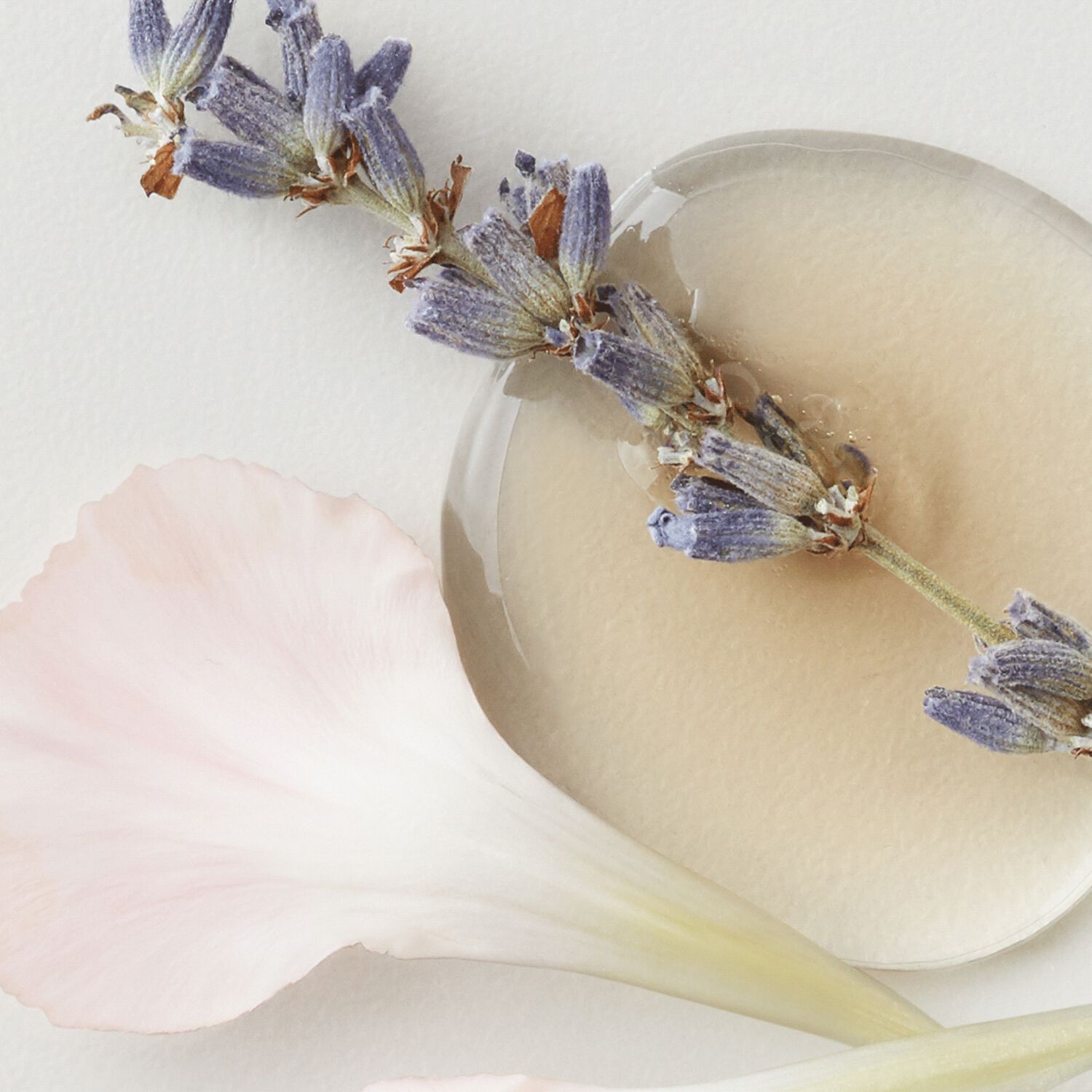 Colour Savour Colour Protecting Conditioner - AG Care | CosmoProf