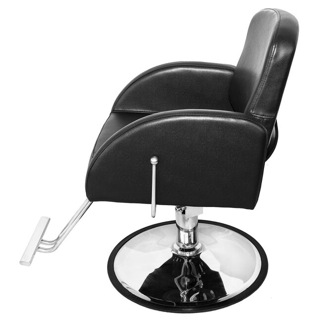 Ashley All-Purpose Chair with Chrome Base - PureSana | CosmoProf