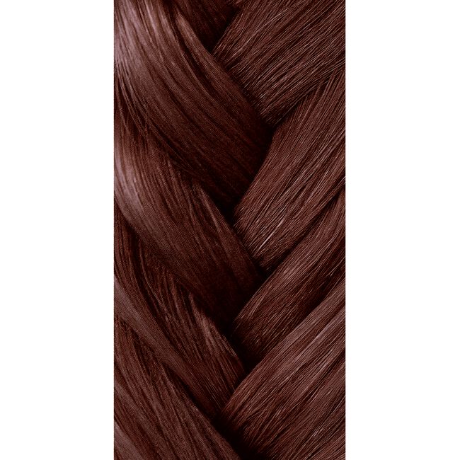 5-52 Mahogany Violet Gloss Toner with Bonder Demi-Permanent Hair Color ...