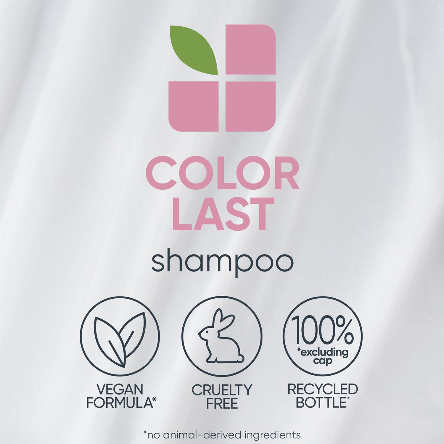 ColorLast Shampoo for Color-Treated Hair - Biolage | CosmoProf