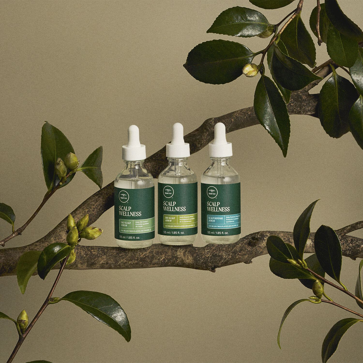 Tea Tree Dry Scalp Serum - John Paul Mitchell Systems | CosmoProf
