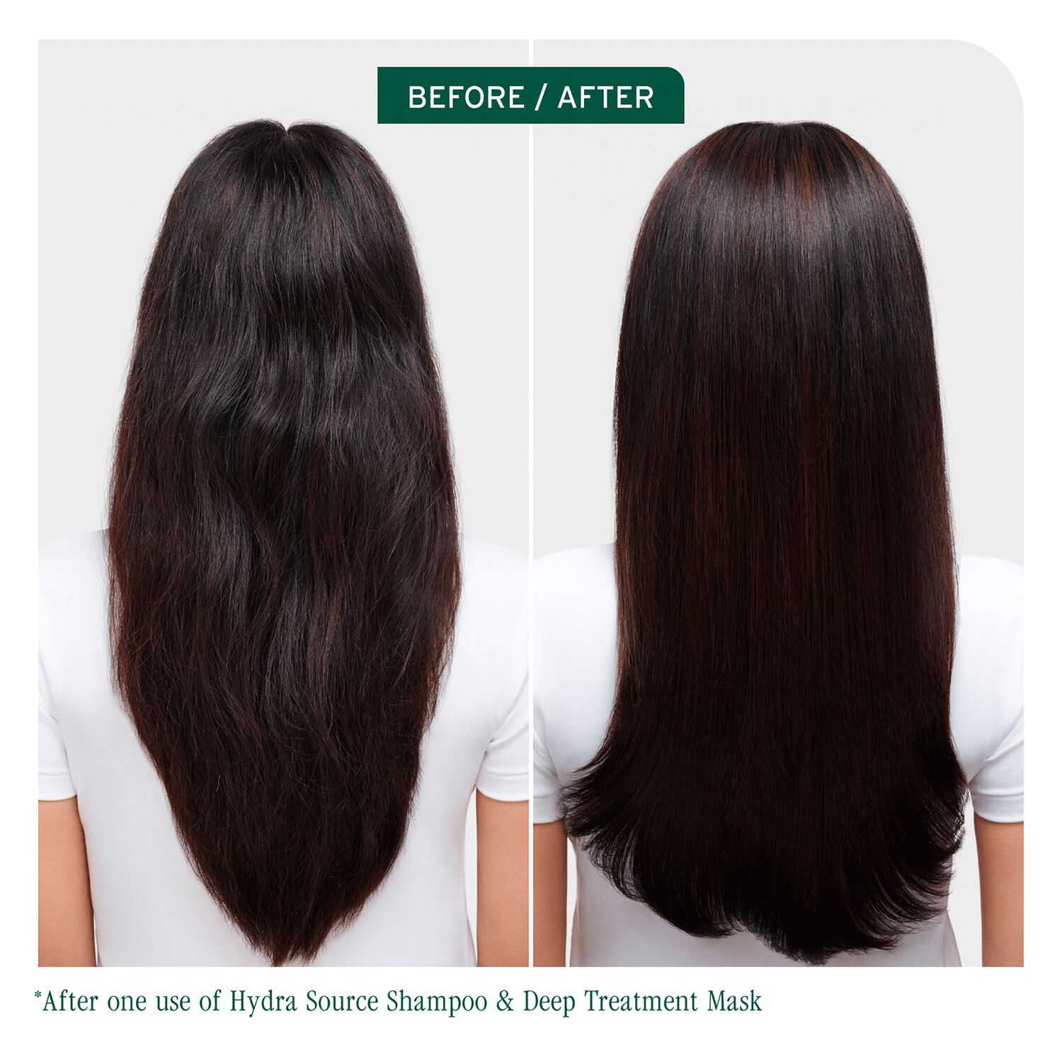 HydraSource Deep Treatment Hair Mask for Dry Hair - Biolage | CosmoProf